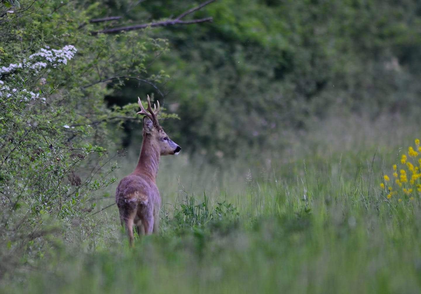 Italy Hunting Trip & Touring - Family Expeditions