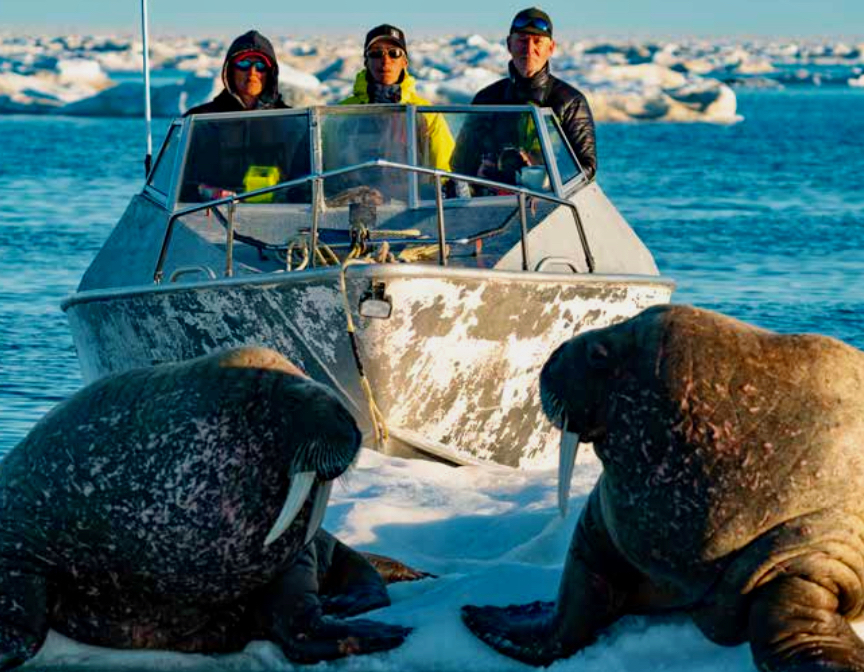 Canada Arctic Big Game Hunting - Family Expeditions